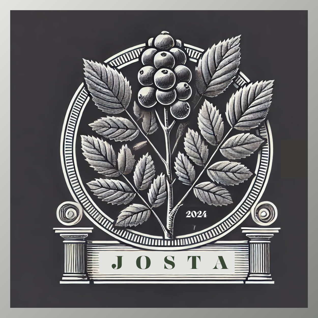 JOSTA